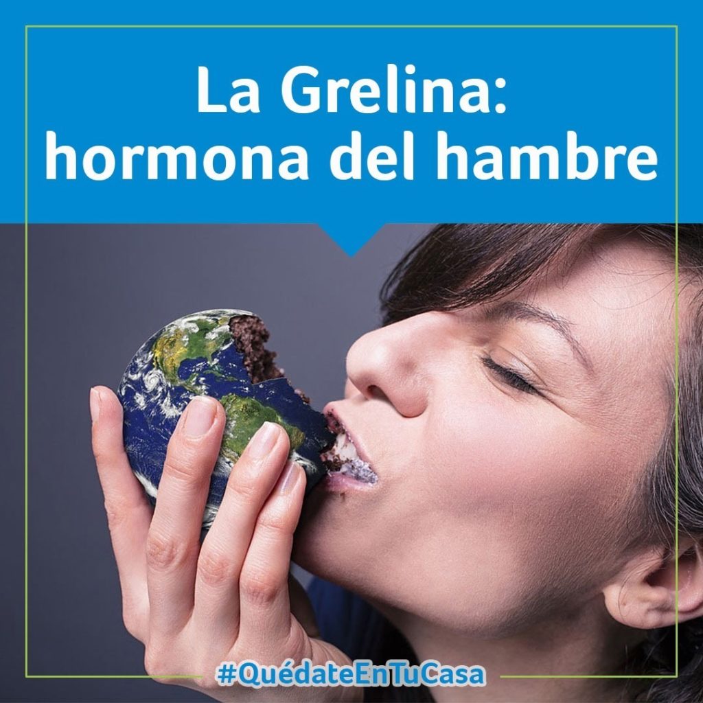 La Grelina: hormona del hambre - CALEVIT